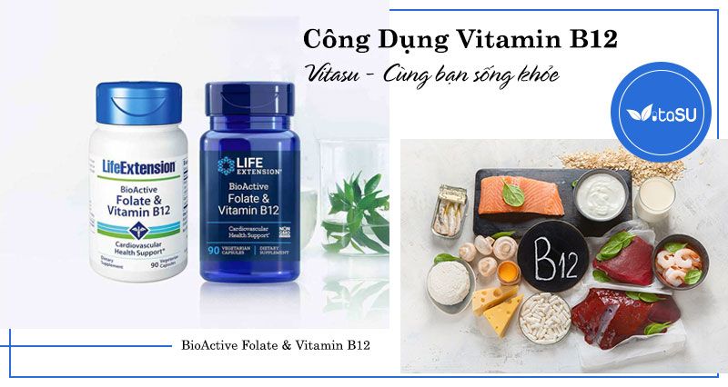 Thuốc Vitamin B12 - Liều Dùng, Cách Dùng Và Những Lưu Ý